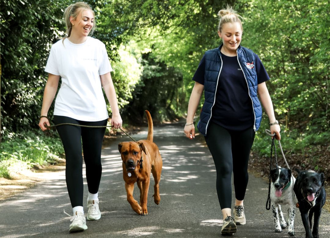 Cortaflex Ultra Joint Supplement - Glucosamine & Chondroitin